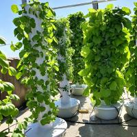 China Modular Design Hydroponic Tower with LED Light and 30L Nutrient Tank for Efficient Vertical Farming for sale