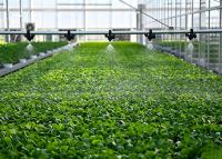 China Automatic Self-Propelled Boom Sprinkler Irrigation Machine for Greenhouse for sale