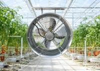 China Greenhouse Industrial HAF Air Circulation Fan | IP55 Motor HAF Fan for Hot Spots for sale