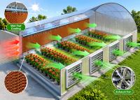 China Evaporative Wet Pad & Fan Cooling System For Greenhouse & Poultry House for sale