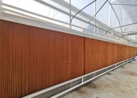 China Evaporative Wet Pad & Fan Cooling System For Greenhouse & Poultry House for sale