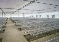 China Commercial Greenhouse Bench System | Custom Rolling & Stationary Benches for sale