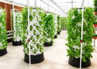 China Pineapple Aeroponic Tower System | Modular Vertical Fruit Growing Kit for sale