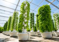 China 5-11 Tier Column Hydroponic System | High-Yield Vegetable Growing Tower for sale