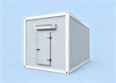 China Containerized Modular Cold Room with Dehumidification | Humidity Controlled Cold Storage for sale