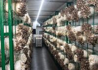 China High-Yield Intelligent Mushroom Growing Container With Auto Climate Control System for sale