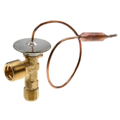 China AC Expansion Valve for Isuzu Rodeo 1999-2004 Axiom Trooper Amigo 2.2L 3.2L 3.5L for sale
