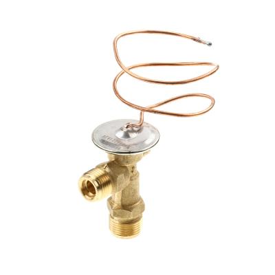 China AC Expansion Valve for Chevrolet Express 1500 2500 3500 GMC G1500 Savana 1500 for sale