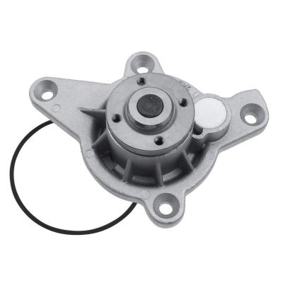 China Engine Water Pump with Gasket for Audi A8 Quattro 05-09 VW Passat 02-04 Phaeton for sale