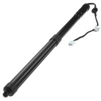 China Rear Tailgate Driver Power Hatch Lift Support for Lexus RX350 RX450h 2016-2019 for sale