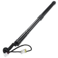 China Rear Tailgate Driver Power Hatch Lift Support for Lexus NX300 NX300h 2018-2021 for sale