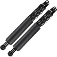 China 2x Rear Tailgate Lift Supports Shock Struts for BMW E39 525i 528i 540i Wagon for sale