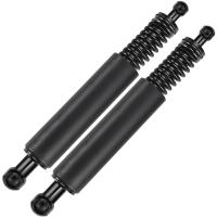 China 2x Rear Tailgate Lift Supports Shock Struts for Volkswagen Touareg 2004-2005 for sale
