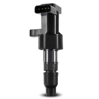 China Ignition Coil with 4 Pins for Jaguar X-Type 02-08 S-Type 03-08 V6 2.5L 3.0L for sale