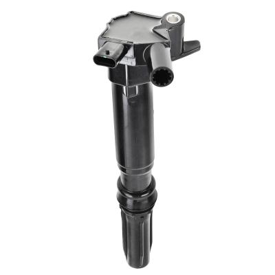 China Ignition Coil with 2 Pins for Ford E-350 E-450 2018-2019 F-250 F-350 Super Duty for sale