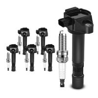 China 6x Black Ignition Coil & IRIDIUM Spark Plug Kits for Honda Accord Crosstour Acura for sale