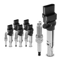 China 6x Gray Ignition Coil & IRIDIUM Spark Plug Kits for VW Passat Atlas Audi Q7 for sale