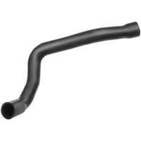 China Lower Coolant Engine Radiator Hose for BMW E32 E38 540i 740i 740iL 1994-1998 for sale
