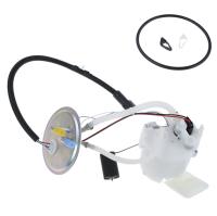 China Fuel Pump Assembly for Lincoln Continental 1995 1996 V8 4.6L Petrol for sale