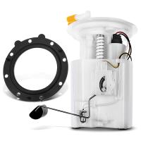 China Fuel Pump Assembly for Subaru Legacy 2010-2012 Outback 2010-2011 2.5L for sale