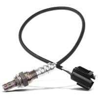 China Upstream Downstream O2 Oxygen Sensor for Dodge Dakota Ram Jeep Grand Cherokee for sale