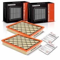 China 2x Engine Air Filter with Flexible Panel for BMW E70 X5 2009-2014 L6 3.0L Diesel for sale