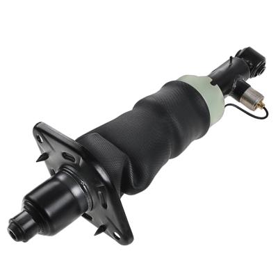 China Rear Passenger Air Suspension Strut for Audi Allroad Quattro 2001-2005 for sale