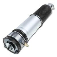 China Rear Driver Air Suspension Strut for BMW E65 745i 745Li 2002-2005 V4 4.4L for sale