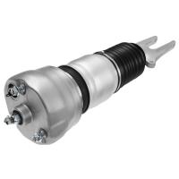 China Front Passenger Air Suspension Strut for Porsche Panamera 2010-2016 for sale