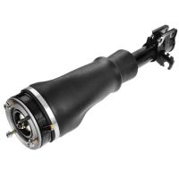 China Front Passenger Air Suspension Strut for Land Rover Range Rover 2003-2012 for sale