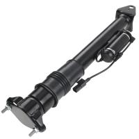 China Rear Driver or Passenger Air Suspension Strut for Mercedes-Benz X164 GL320 ML320 for sale