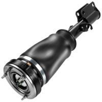 China Front Passenger Air Suspension Strut for BMW E53 X5 2000-2006 Sport Utility for sale