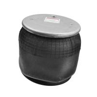China Driver or Passenger Air Suspension Spring Bags for 1R12069 Firestone W013589069 for sale