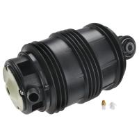 China Rear Passenger Air Suspension Spring Bags for Mercedes-Benz W211 E320 2003-2009 for sale