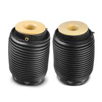 China Rear Driver & Passenger Air Suspension Spring Bags for Hyundai Equus 2011-2016 for sale