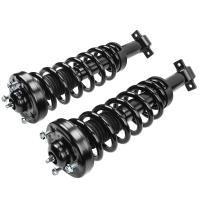 China 2x Front Complete Strut & Coil Spring Assembly for Ford F-150 2015-2020 RWD for sale