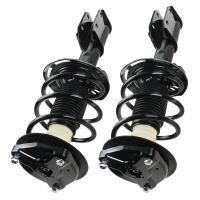 China 2x Front Complete Strut & Coil Spring Assembly for Mercedes-Benz C350 C230 C250 C300 for sale