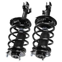 China 2x Front Complete Strut & Coil Spring Assembly for Lexus RX330 RX350 RX400h AWD for sale