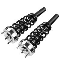 China 2x Front Complete Strut & Coil Spring Assembly for BMW X5 2007-2013 X6 2008-2014 for sale