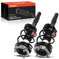 China 2x Front Complete Strut & Coil Spring Assembly for BMW E60 530i 525i 528i 535i for sale
