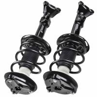 China 2x Front Complete Strut & Coil Spring Assembly for Mercedes-Benz W204 C250 C230 for sale