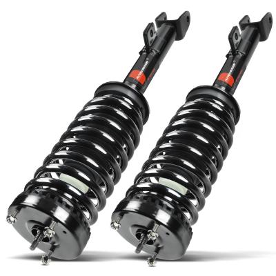 China 2x Front Complete Strut & Coil Spring Assembly for Chrysler 300 2005 2006 2007-2010 RWD for sale