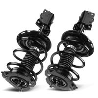 China 2x Front Complete Strut & Coil Spring Assembly for Nissan Maxima 2009-2012 for sale