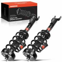 China 2x Front Complete Strut & Coil Spring Assembly for Chrysler 300 Dodge Challenger for sale