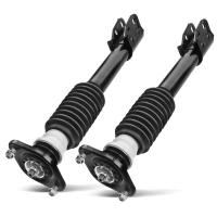 China 2x Rear Complete Strut & Coil Spring Assembly for Cadillac DeVille Buick LeSabre for sale