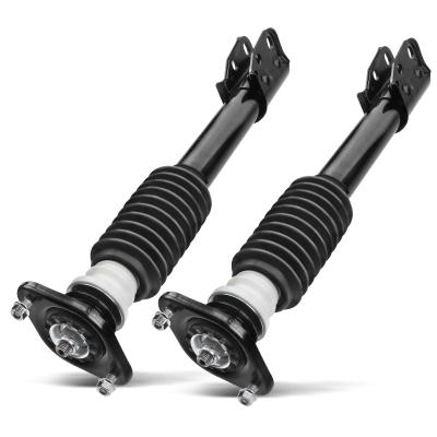 China 2x Rear Complete Strut & Coil Spring Assembly for Cadillac DeVille Buick LeSabre for sale