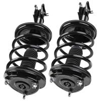 China 2x Front Complete Strut & Coil Spring Assembly for Hyundai Santa Fe 2007-2009 for sale