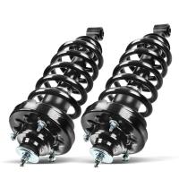 China 2x Rear Complete Strut & Coil Spring Assembly for Ford Explorer Mercury 2006-2010 for sale