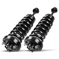 China 2x Front Complete Strut & Coil Spring Assembly for Ford Expedition Lincoln 03-06 for sale