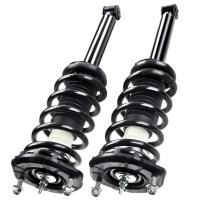 China 2x Rear Complete Strut & Coil Spring Assembly for Nissan Maxima Infiniti I35 I30 for sale